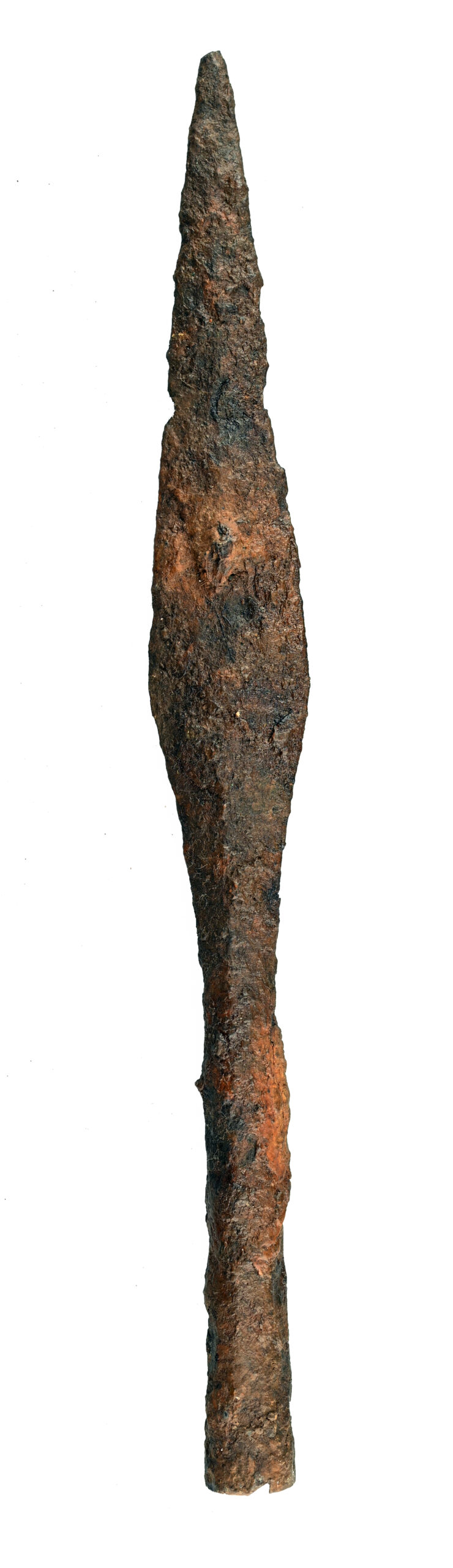 Il mito degli Ambisontes – Museo d'Antichità JJ Winckelmann